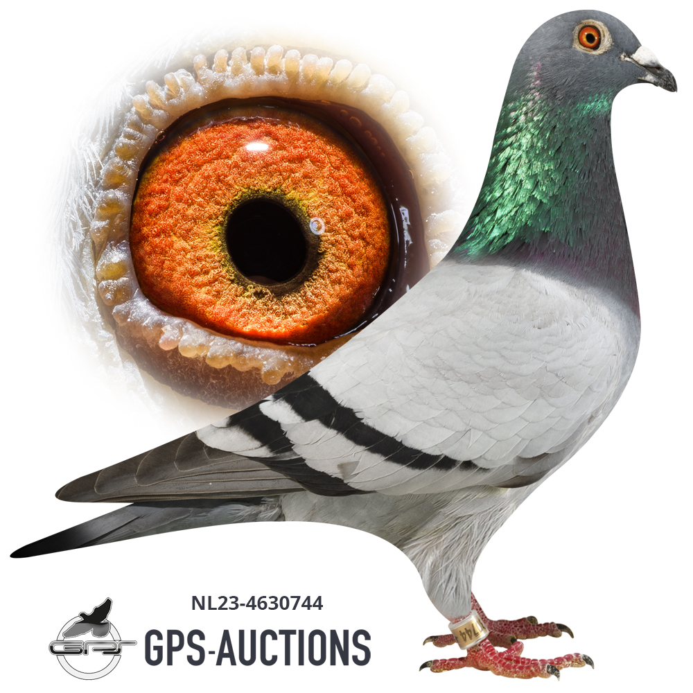Total Auction Evert Diepeveen Part 3 - GPS-Auctions
