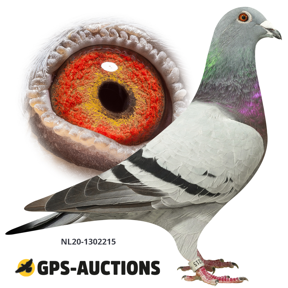 荷兰黄金收藏 - GPS-Auctions
