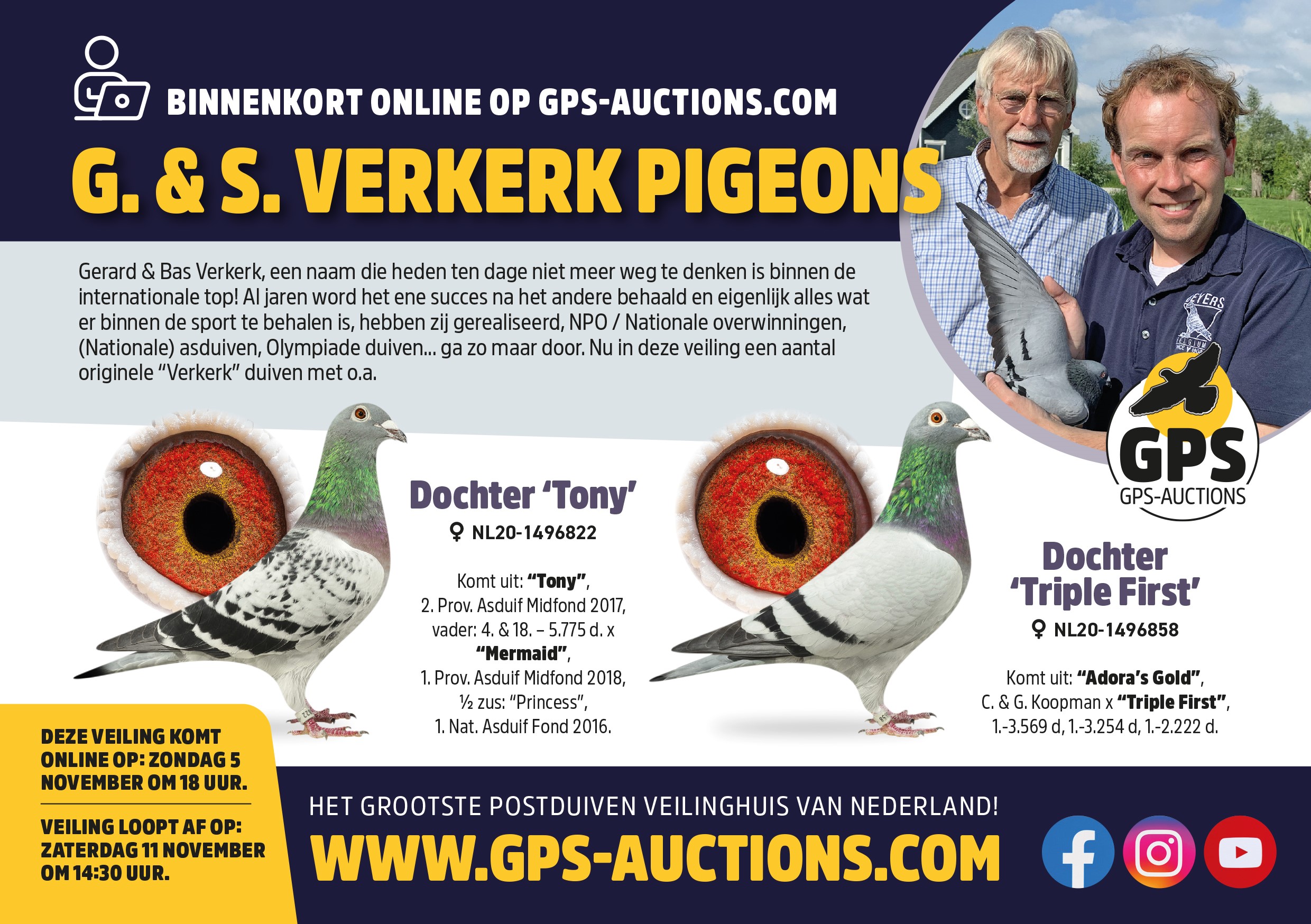 Pigeons G. & S. Verkerk - GPS-Auctions