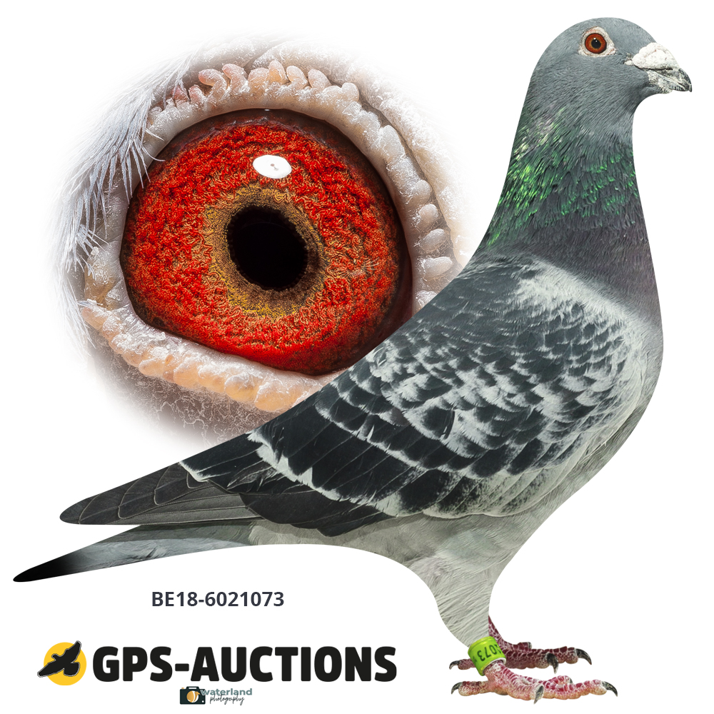 The Golden Collection - GPS-Auctions