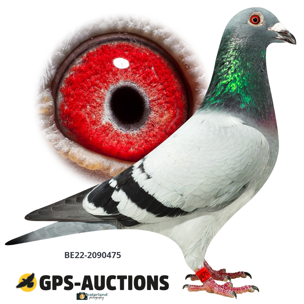 Everaert Willy - "The Soontjens Loft" - GPS-Auctions