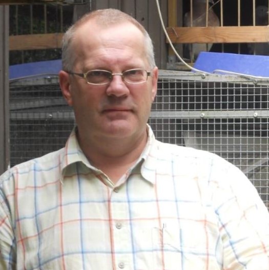 Competition Committee Eindhoven - GPS-Auctions