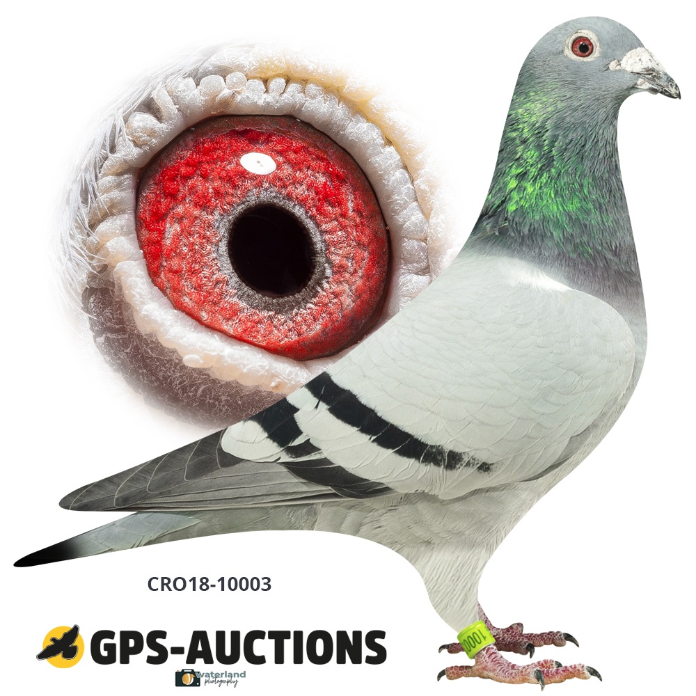 The Golden Collection - GPS-Auctions