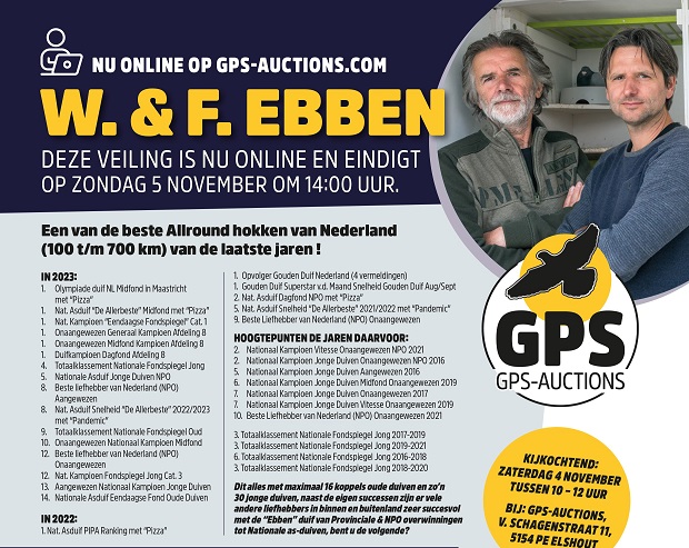 Schlag Ebben bringt 10 Top-Tauben online !!!!! - GPS-Auctions
