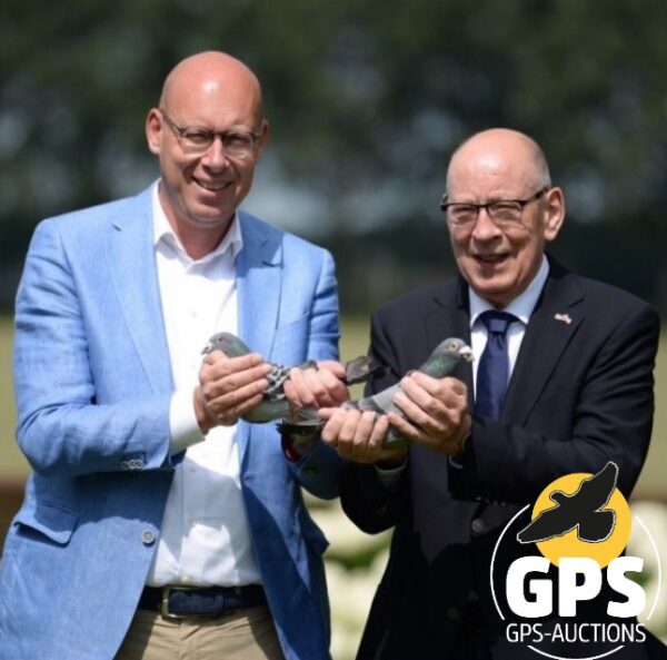 Veilingen - GPS-Auctions