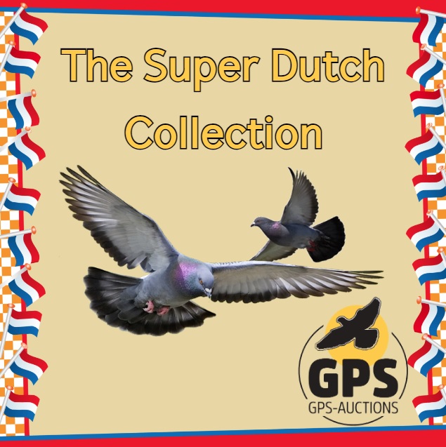 Super Dutch Collection - GPS-Auctions