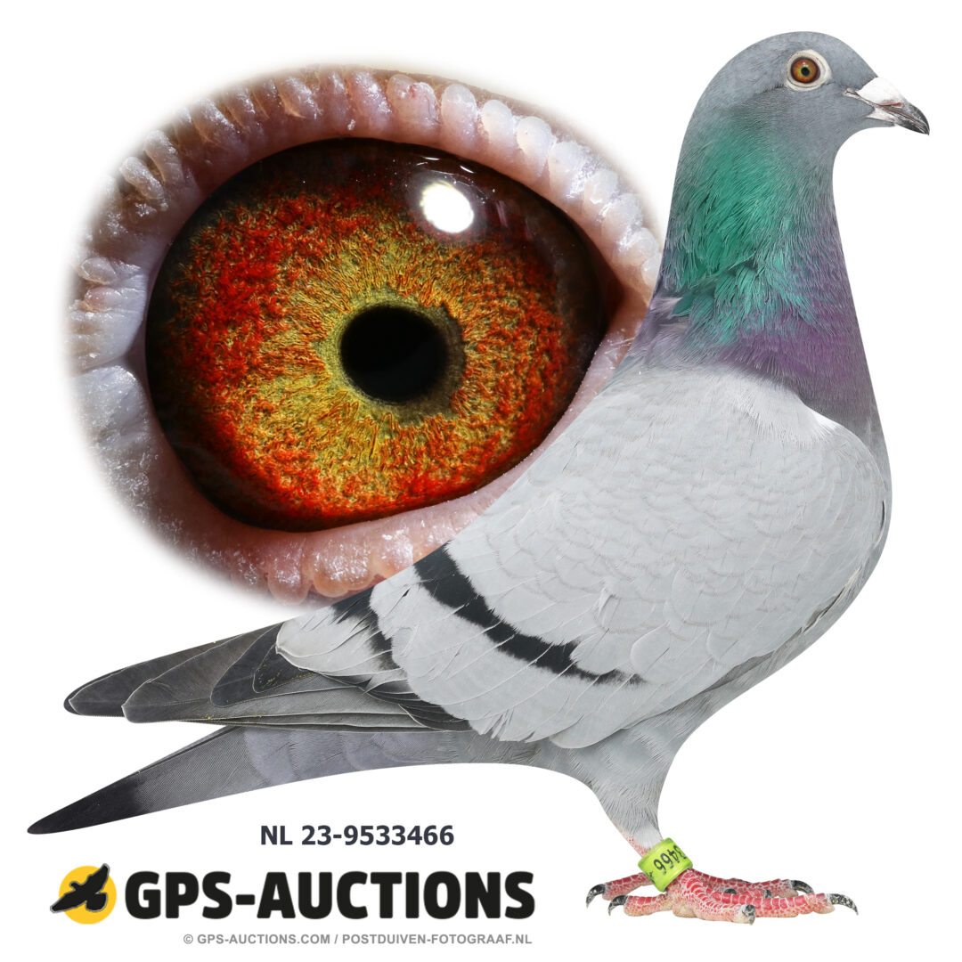 Comb. R. & S. Fokkinga - GPS-Auctions