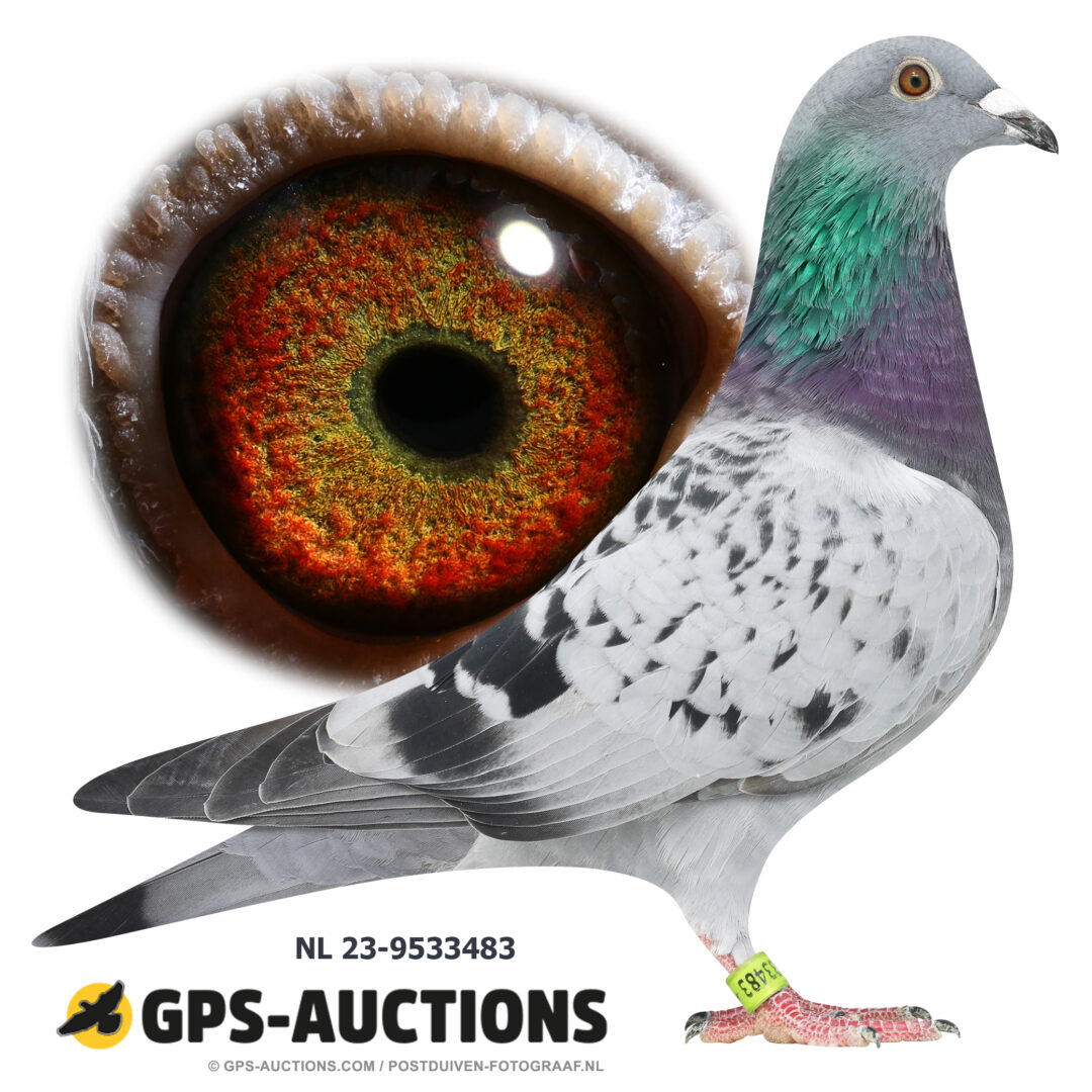 Comb. R. & S. Fokkinga - GPS-Auctions