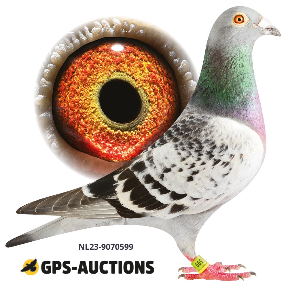 Total Auction Comb. Lokhorst - Saturday - Part 5 - GPS-Auctions