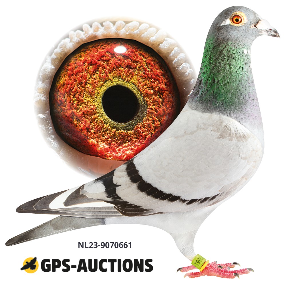 Total Auction Comb. Lokhorst - Saturday - Part 5 - GPS-Auctions