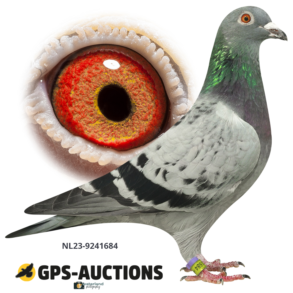 100% Gerard Koopman - GPS-Auctions