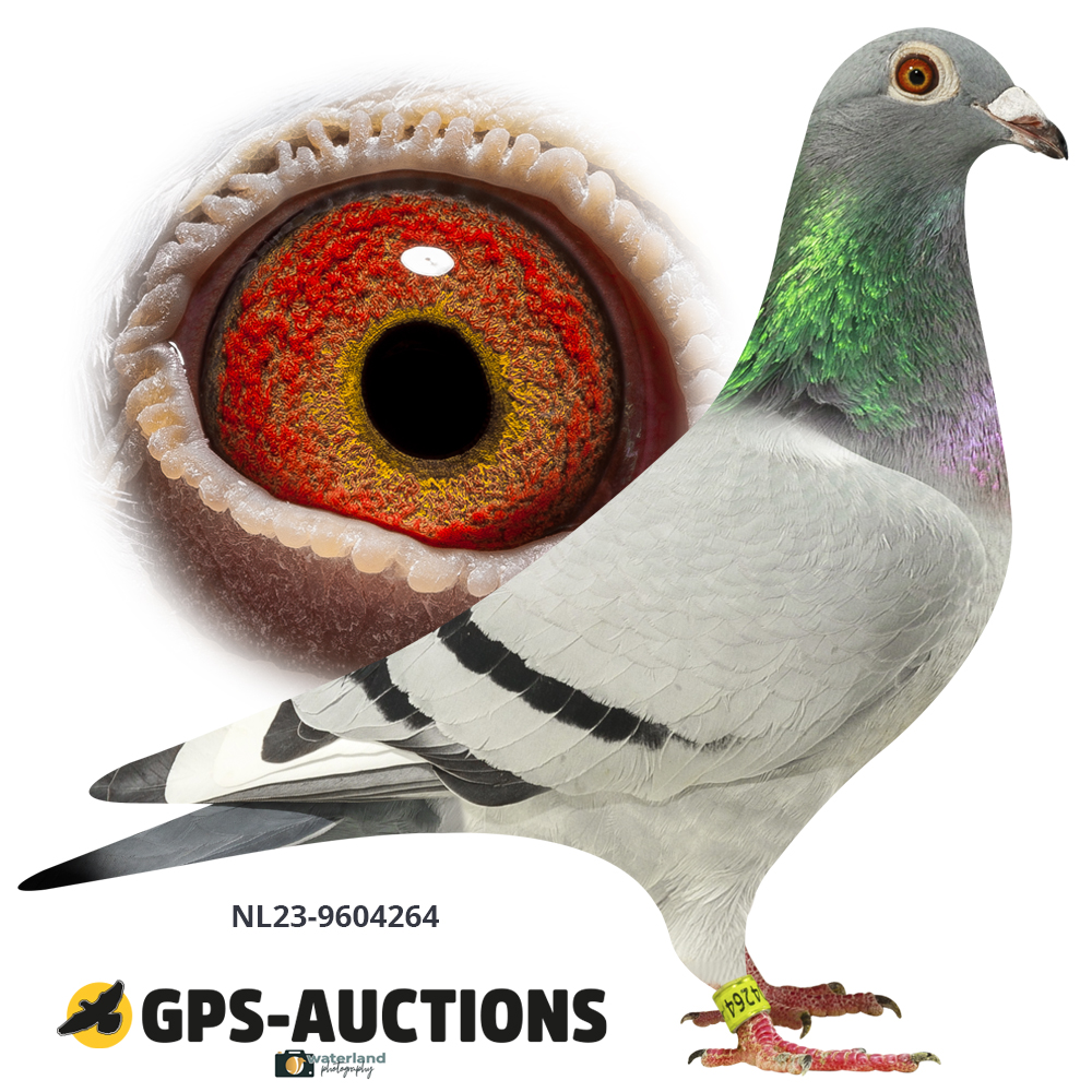 Comb. Huisman - GPS-Auctions