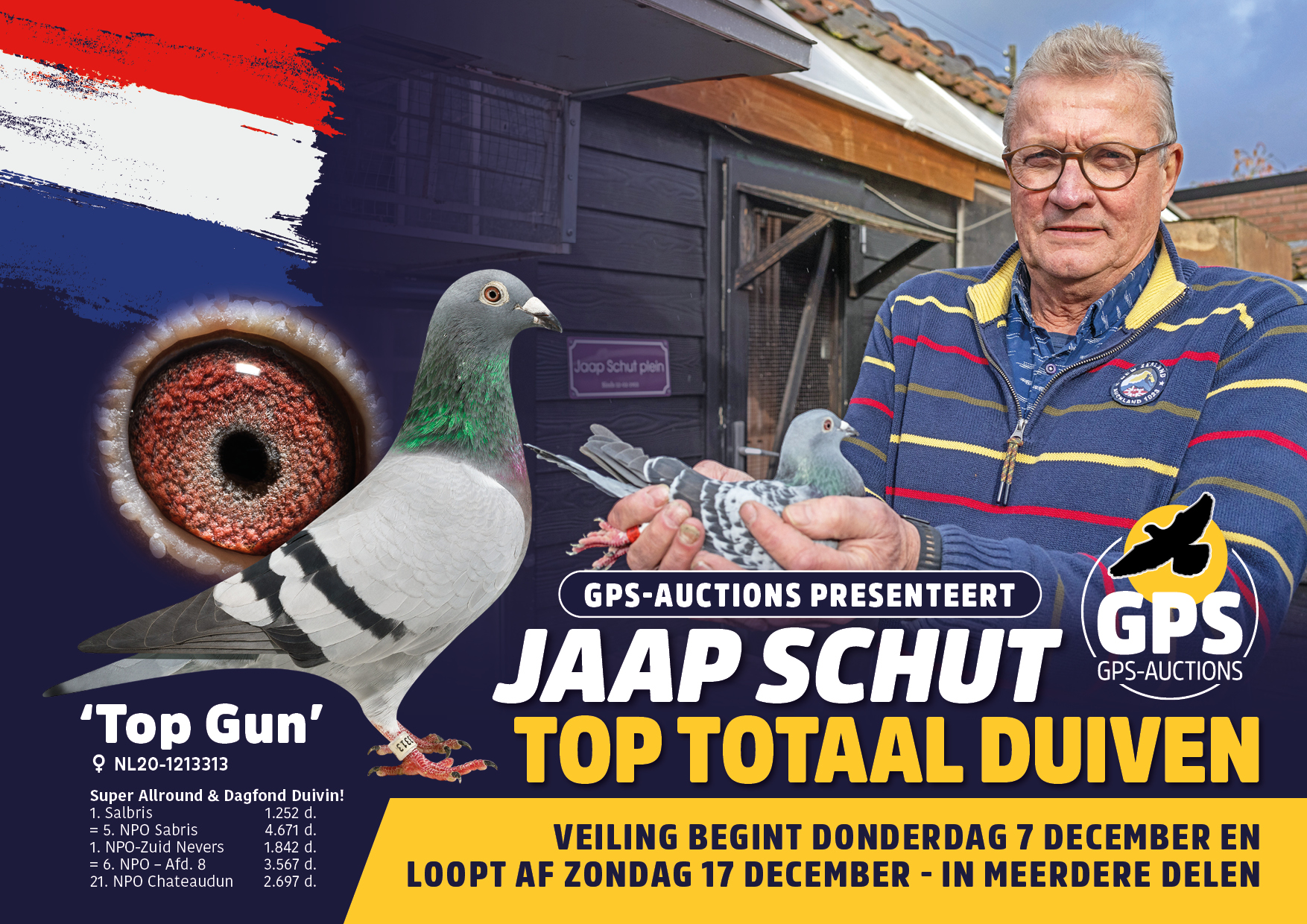 Jaap Schut – Top Totaal Duiven !!!!!!! - GPS-Auctions