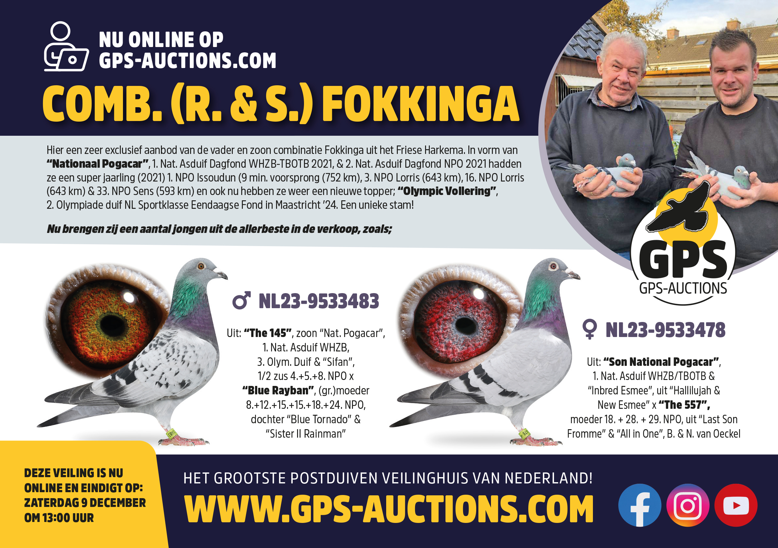 Comb. R. & S. Fokkinga, top fanciers with top pigeons!!!!! - GPS-Auctions