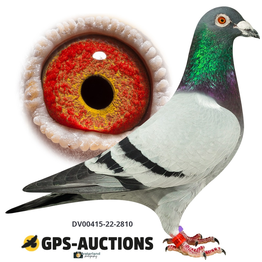 The German Specials - GPS-Auctions