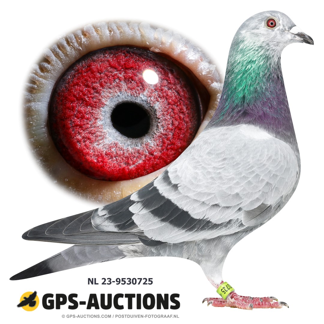 Ype Hemstra (Gebr. Leideman) Special Part 2 - GPS-Auctions