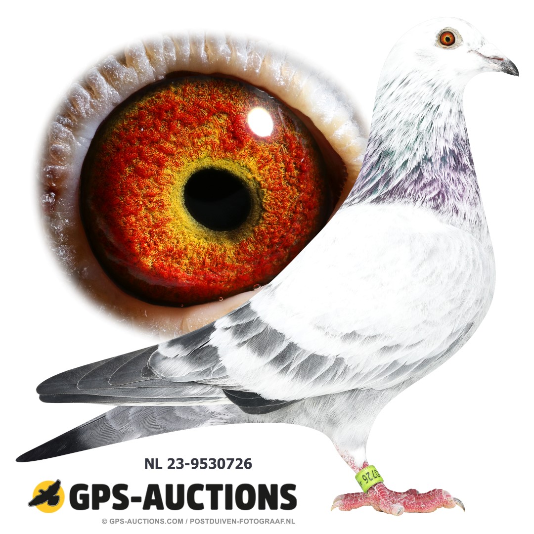 Ype Hemstra (Gebr. Leideman) Special Part 2 - GPS-Auctions