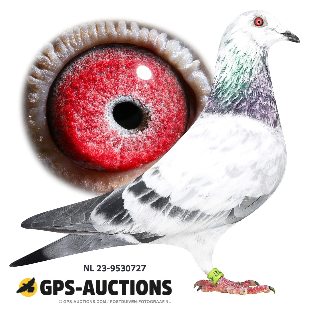 Ype Hemstra (Gebr. Leideman) Special Part 2 - GPS-Auctions