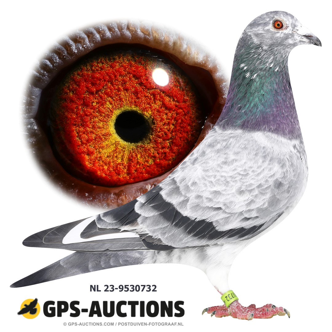 Ype Hemstra (Gebr. Leideman) Special Part 2 - GPS-Auctions