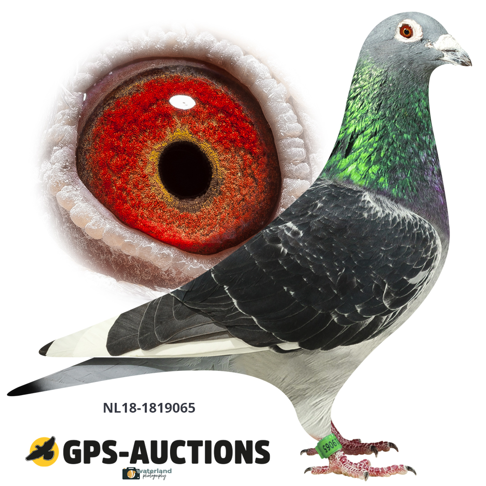 Marathon Super Mix - GPS-Auctions