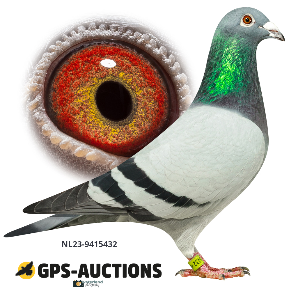 Comb. Raymann & Zn. Special - GPS-Auctions