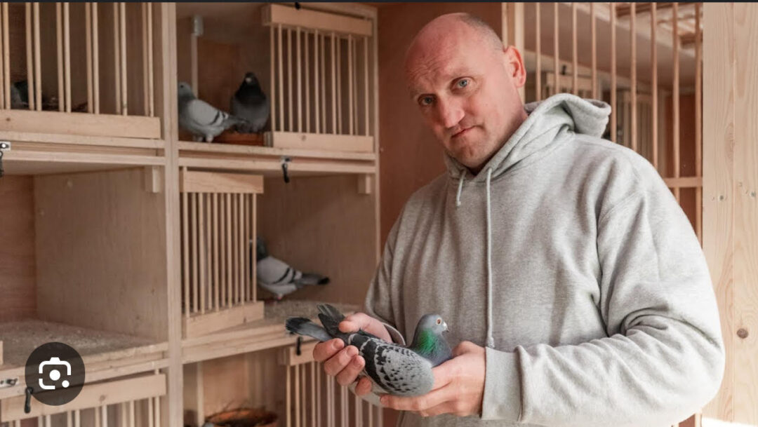 Eendaagse Fondspiegel Part 4 - GPS-Auctions