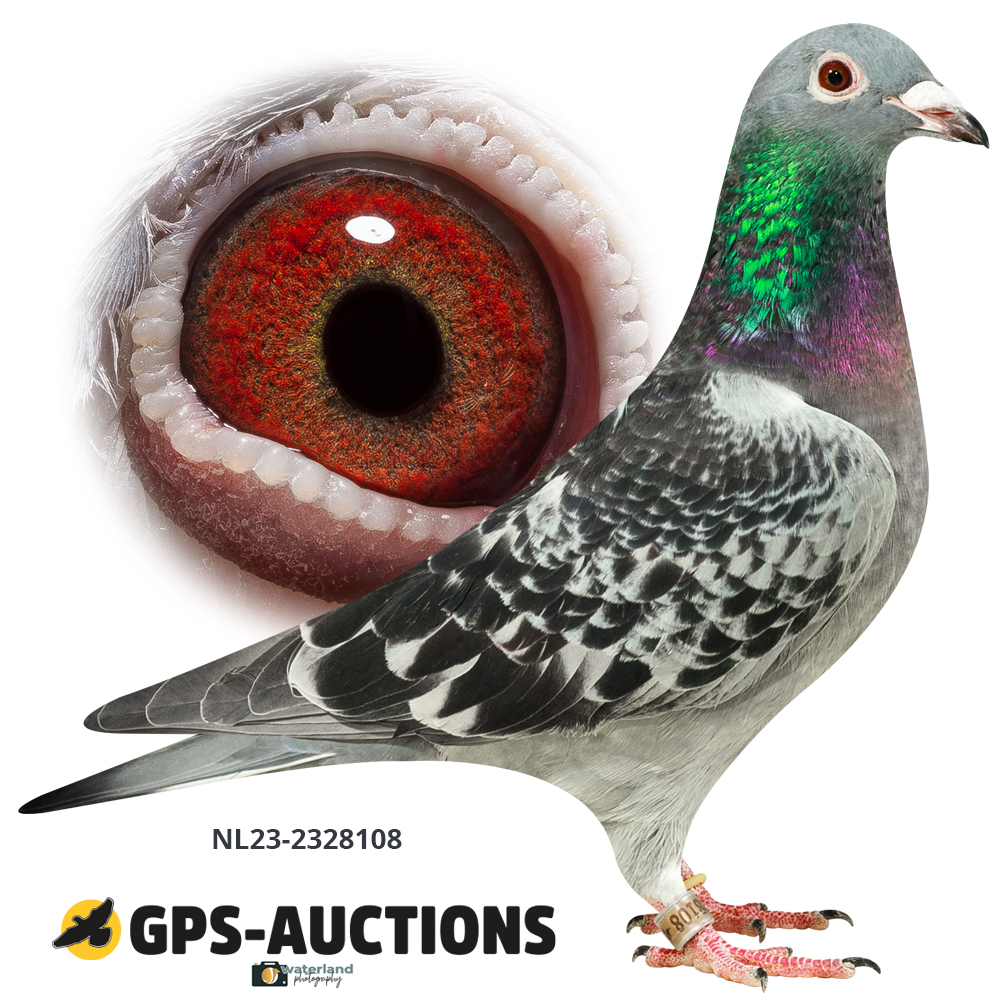 Ko van Dommelen Part 2 - GPS-Auctions