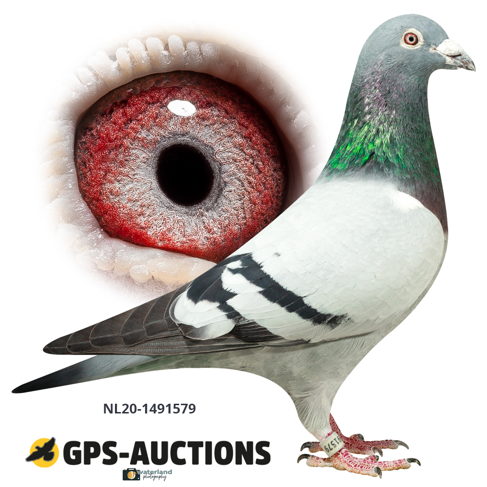 JC (Jarco) de Jong Collection - GPS-Auctions