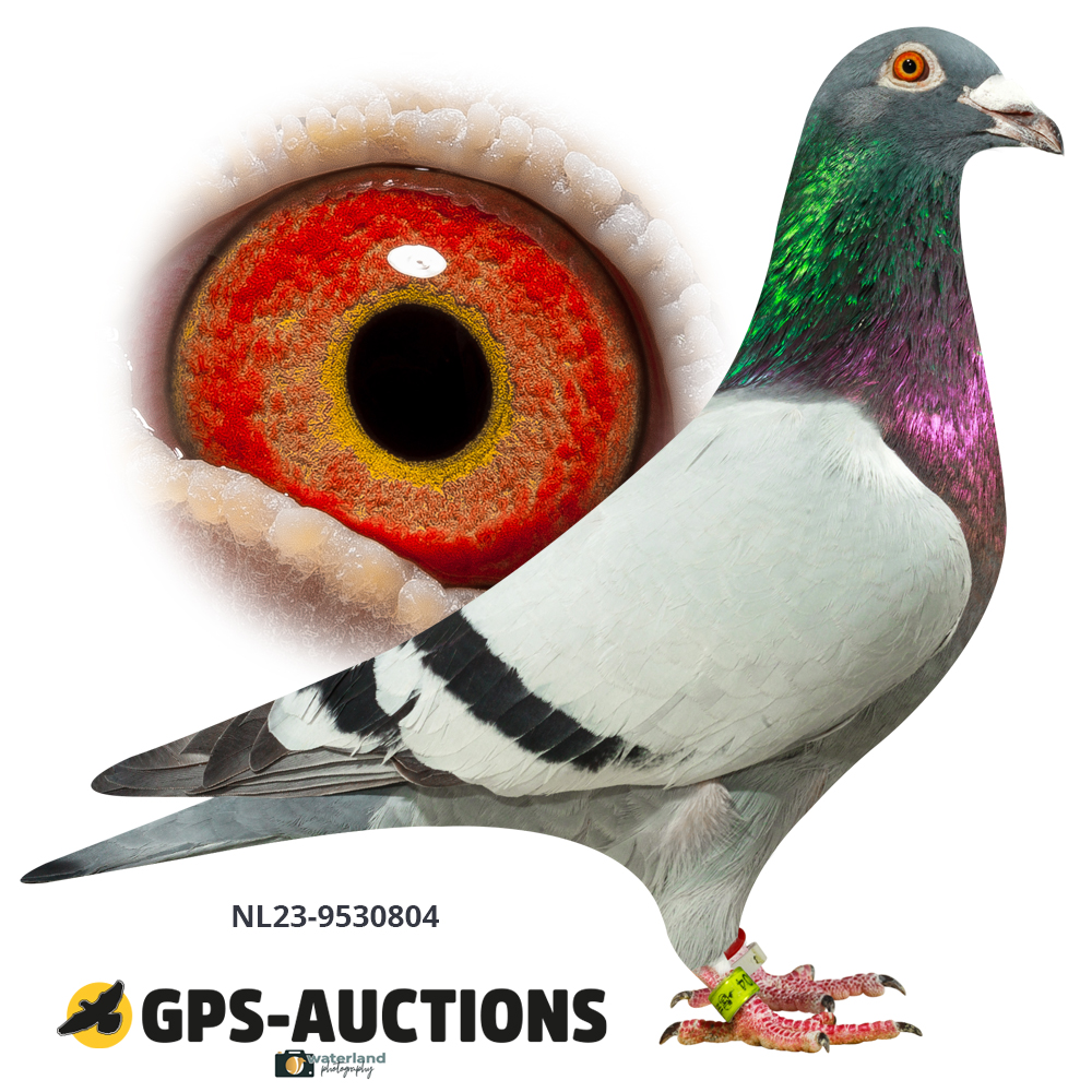 Ype Hemstra – Leideman Special Part 3 - GPS-Auctions