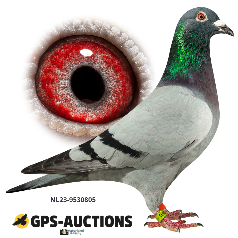 Ype Hemstra – Leideman Special Part 3 - GPS-Auctions