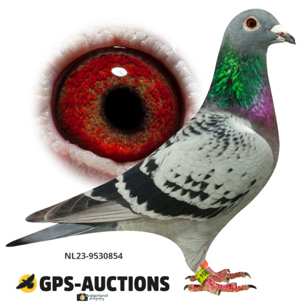Ype Hemstra – Leideman Special Part 3 - GPS-Auctions
