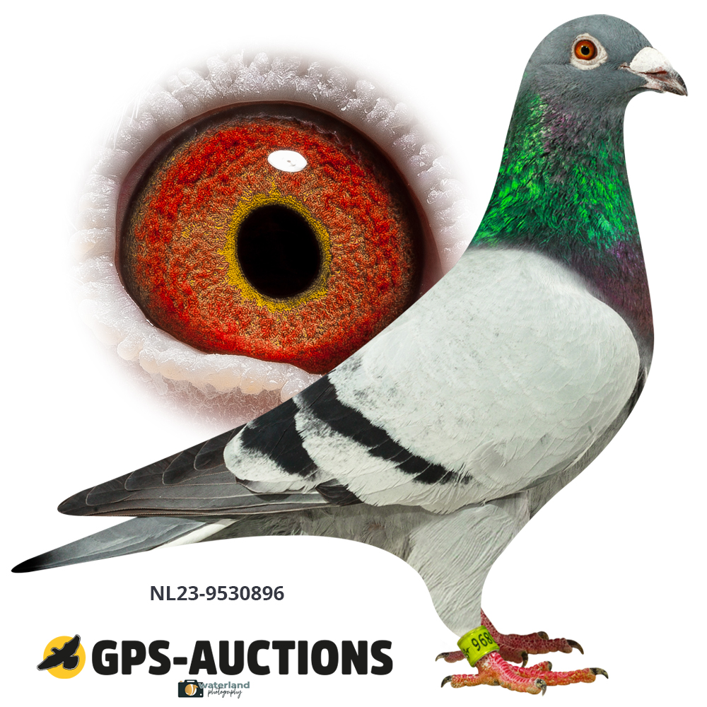 Ype Hemstra – Leideman Special Part 2 - GPS-Auctions