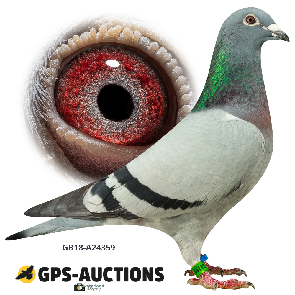Super One Day Long Distance - GPS-Auctions