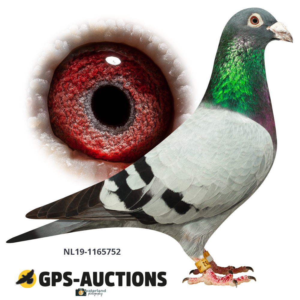 The Super Dutch Collection - GPS-Auctions