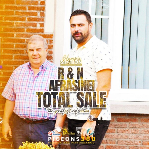 Veilingen - GPS-Auctions