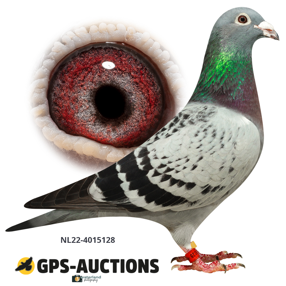 The Summer Special - GPS-Auctions