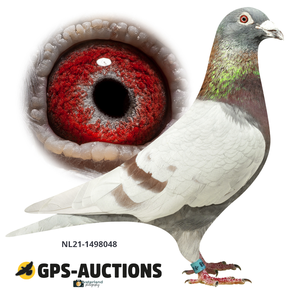 Dutch Top Collection - GPS-Auctions