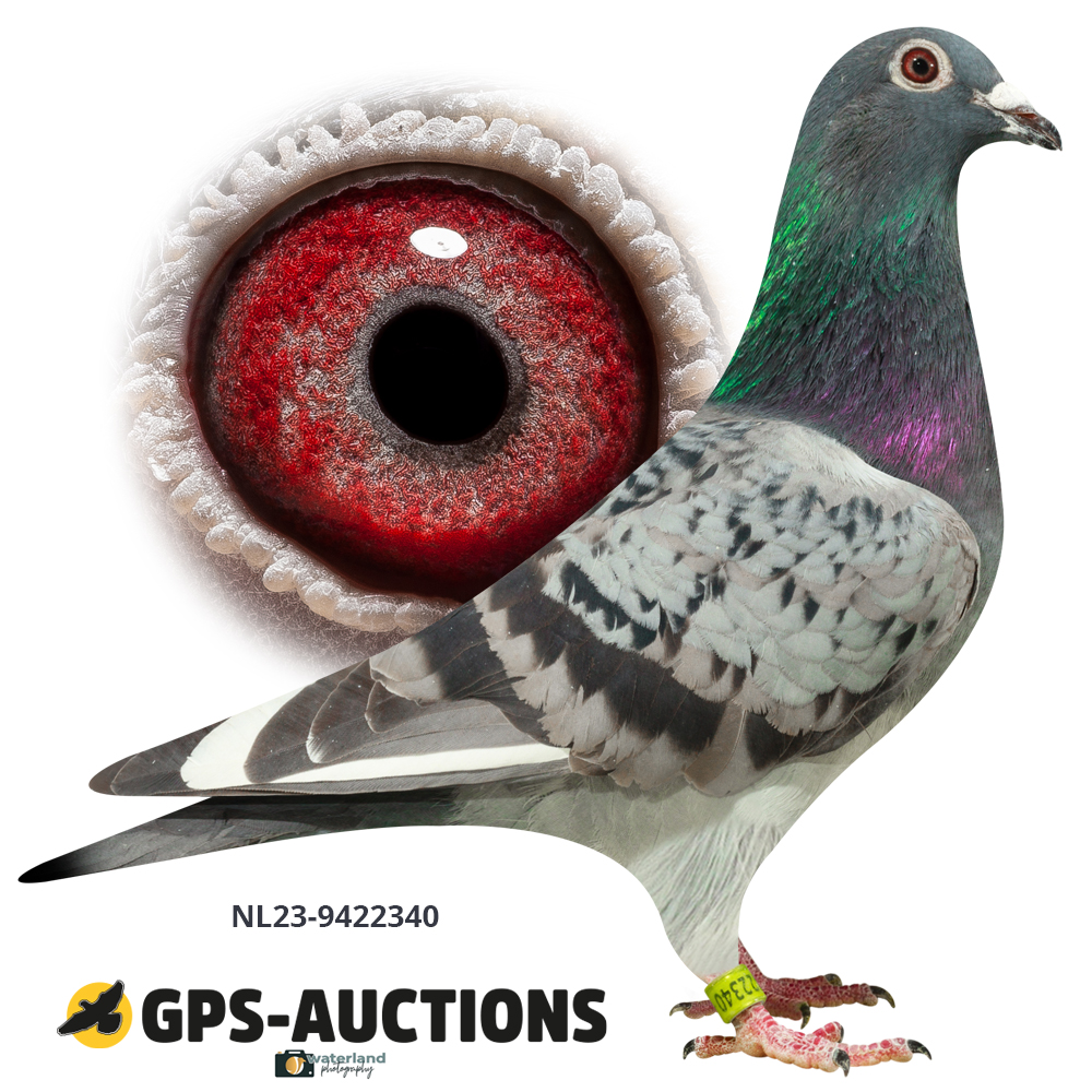 P. Janßen & M. & S. Kobal Collection - GPS-Auctions
