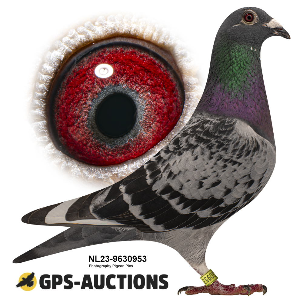 Unseen Forces Destiny Part 2 - GPS-Auctions