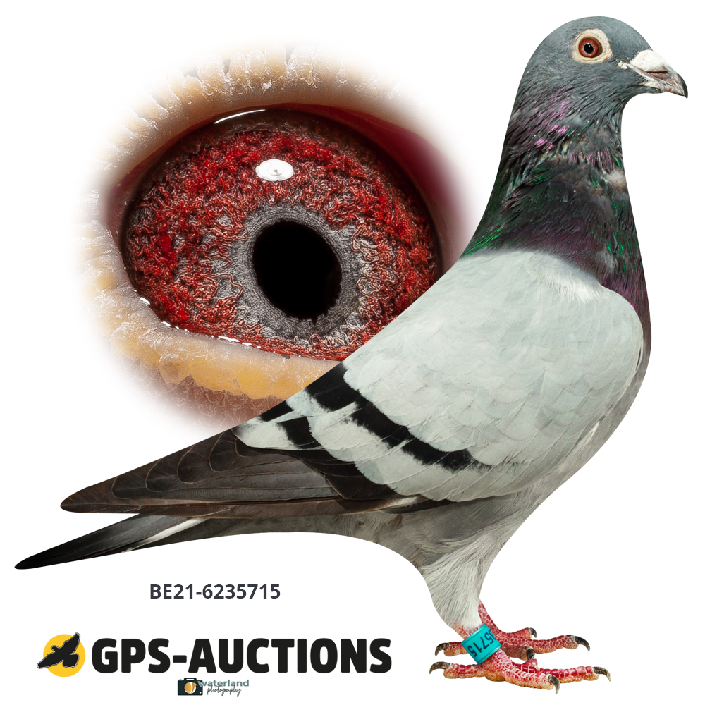 Marcel Wouters Special - GPS-Auctions