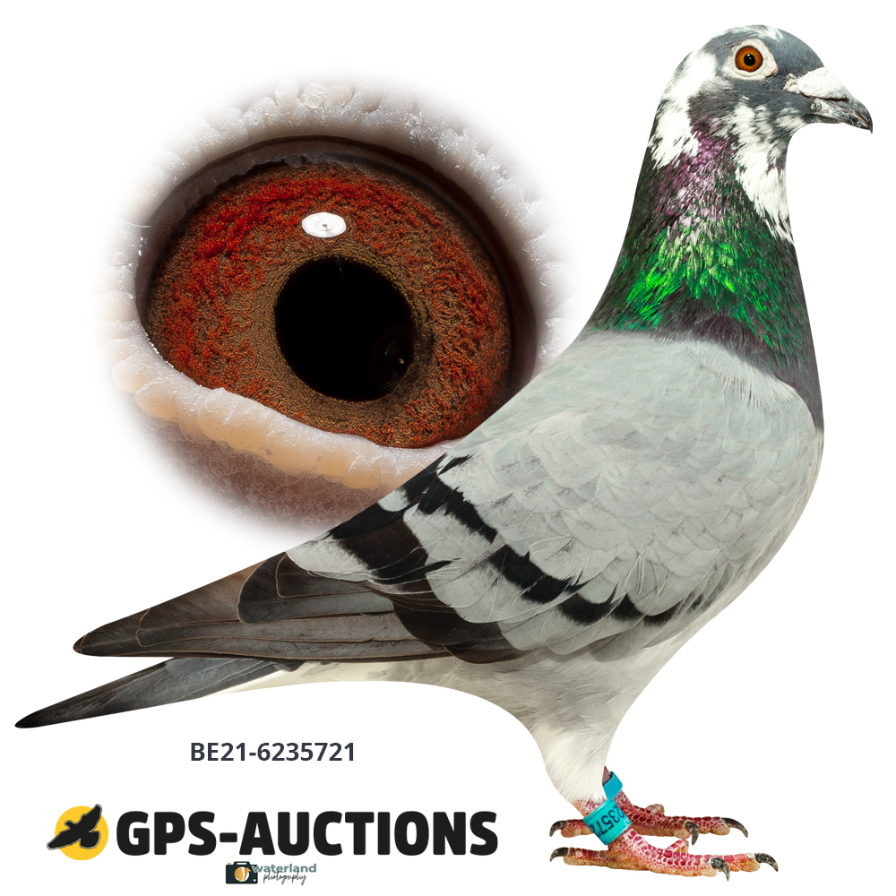 Marcel Wouters Special - GPS-Auctions