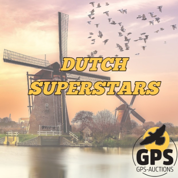 Dutch Superstars - GPS-Auctions