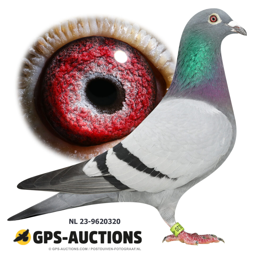 Theme Auction: GPS Season Start 2024 Part 3 - GPS-Auctions