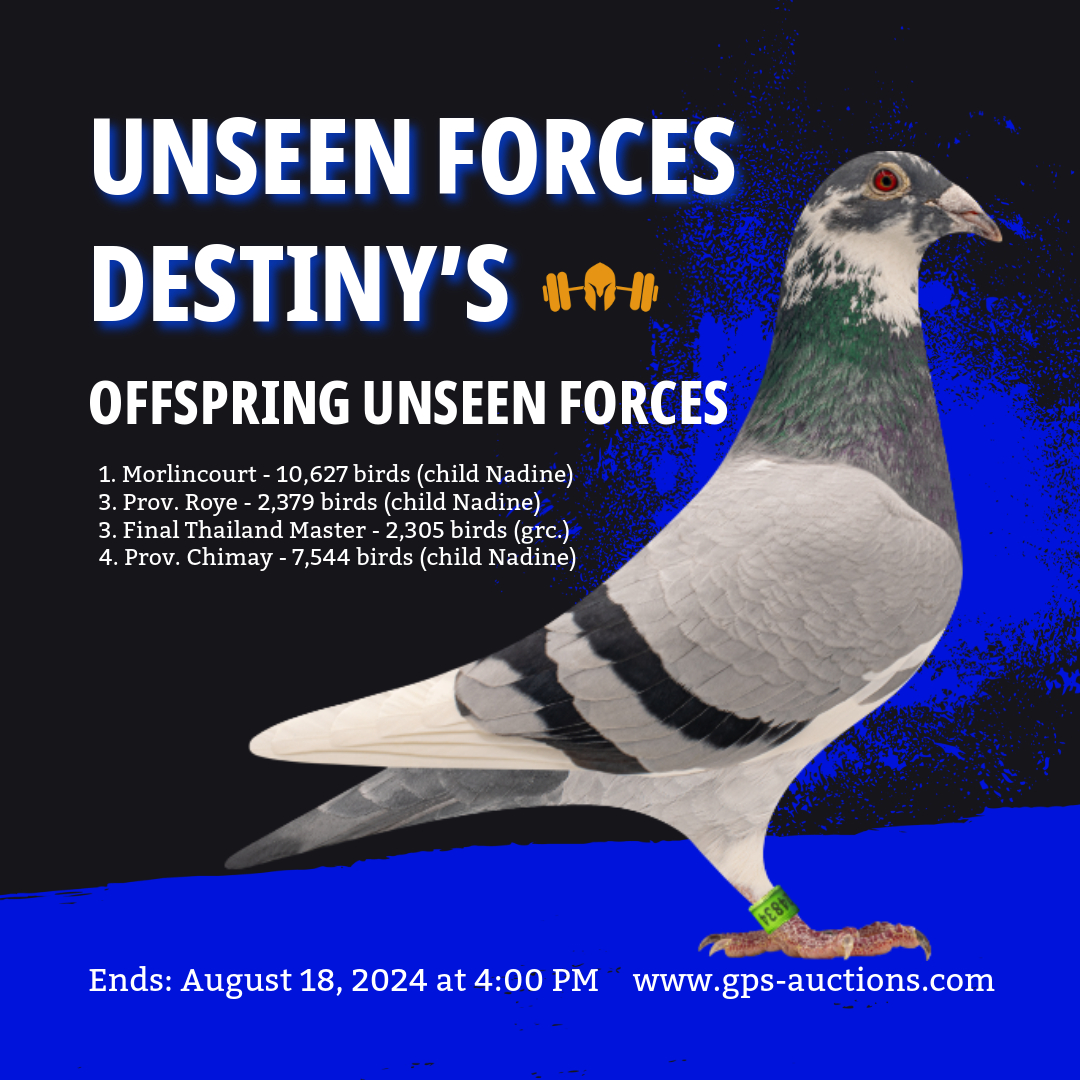 Unseen Forces Destiny Part 2 - GPS-Auctions