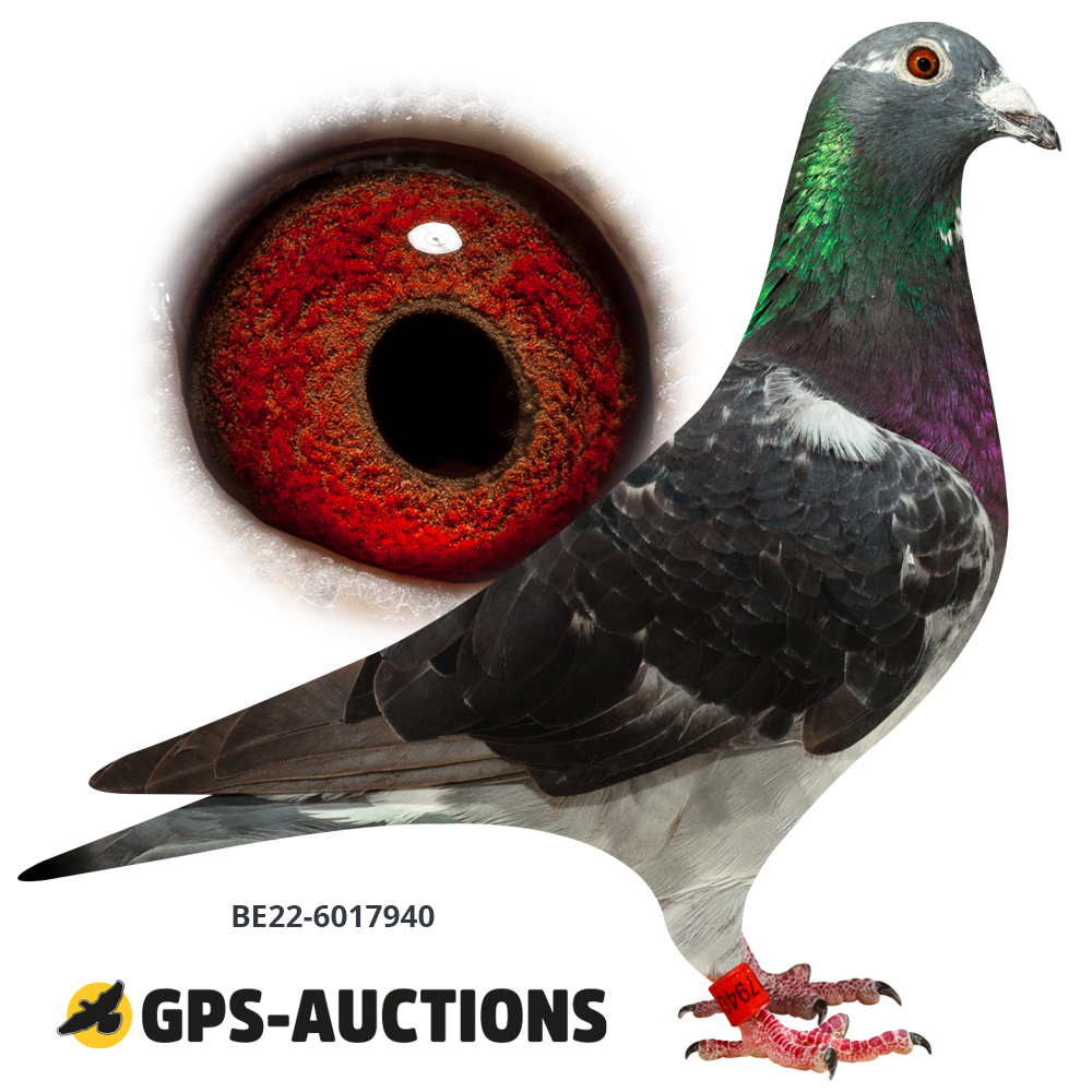 The Bart Verbeek - Geerinckx Special. - GPS-Auctions