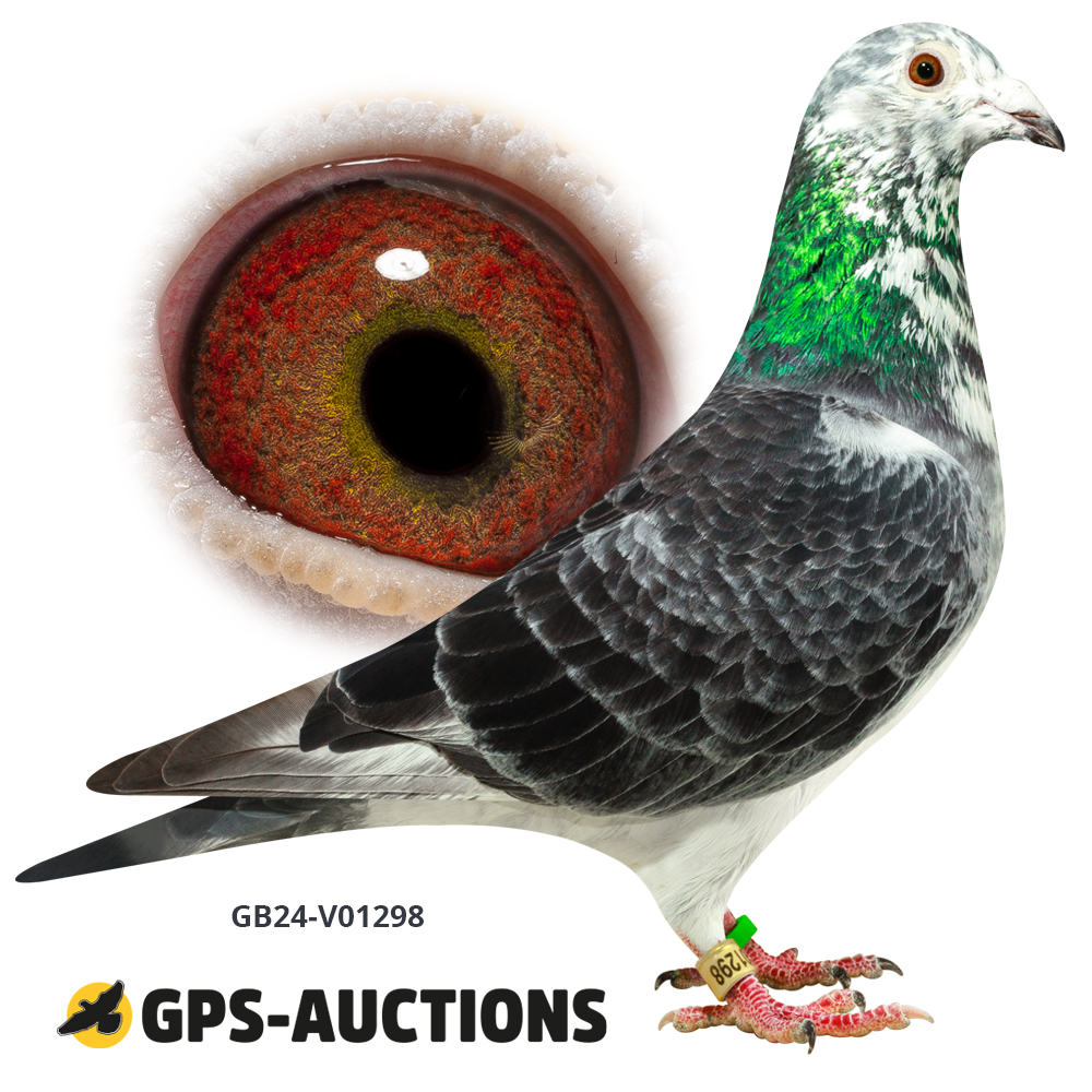 Gebr. Leideman Special !!! - GPS-Auctions