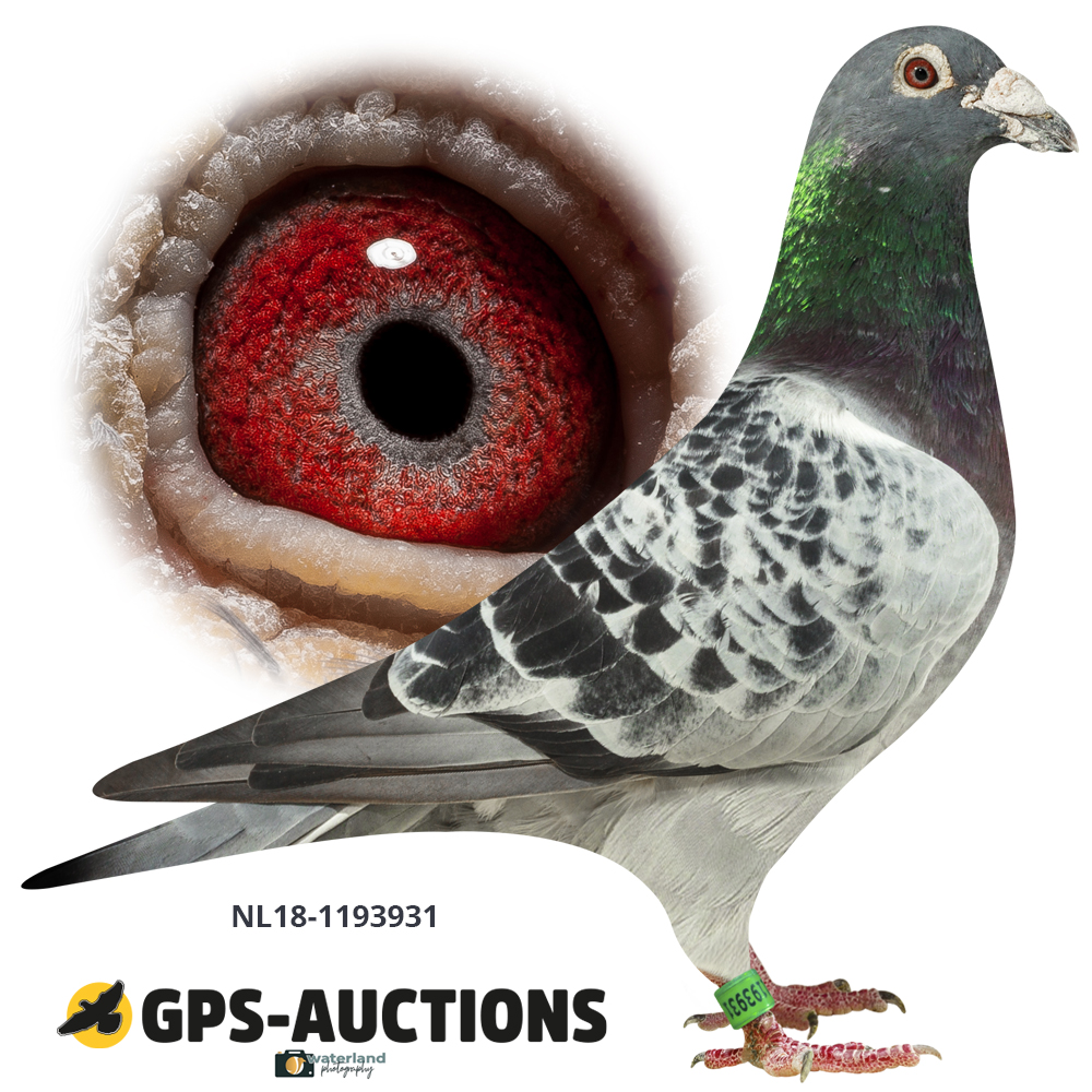 September Mix - GPS-Auctions