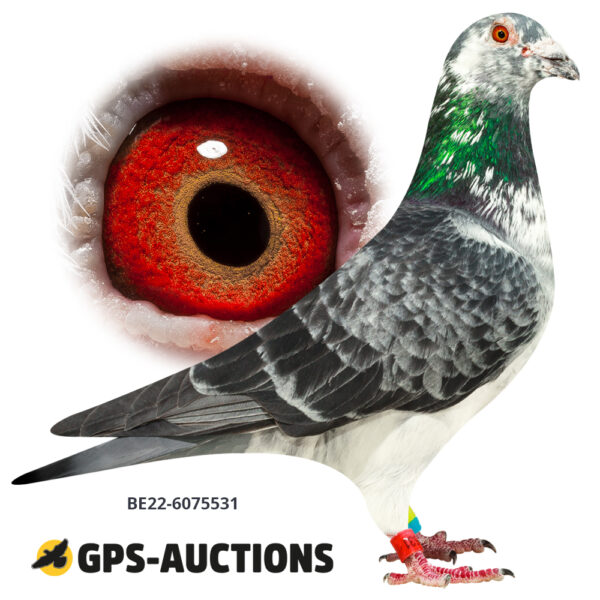The Rene Vervoort Special - GPS-Auctions