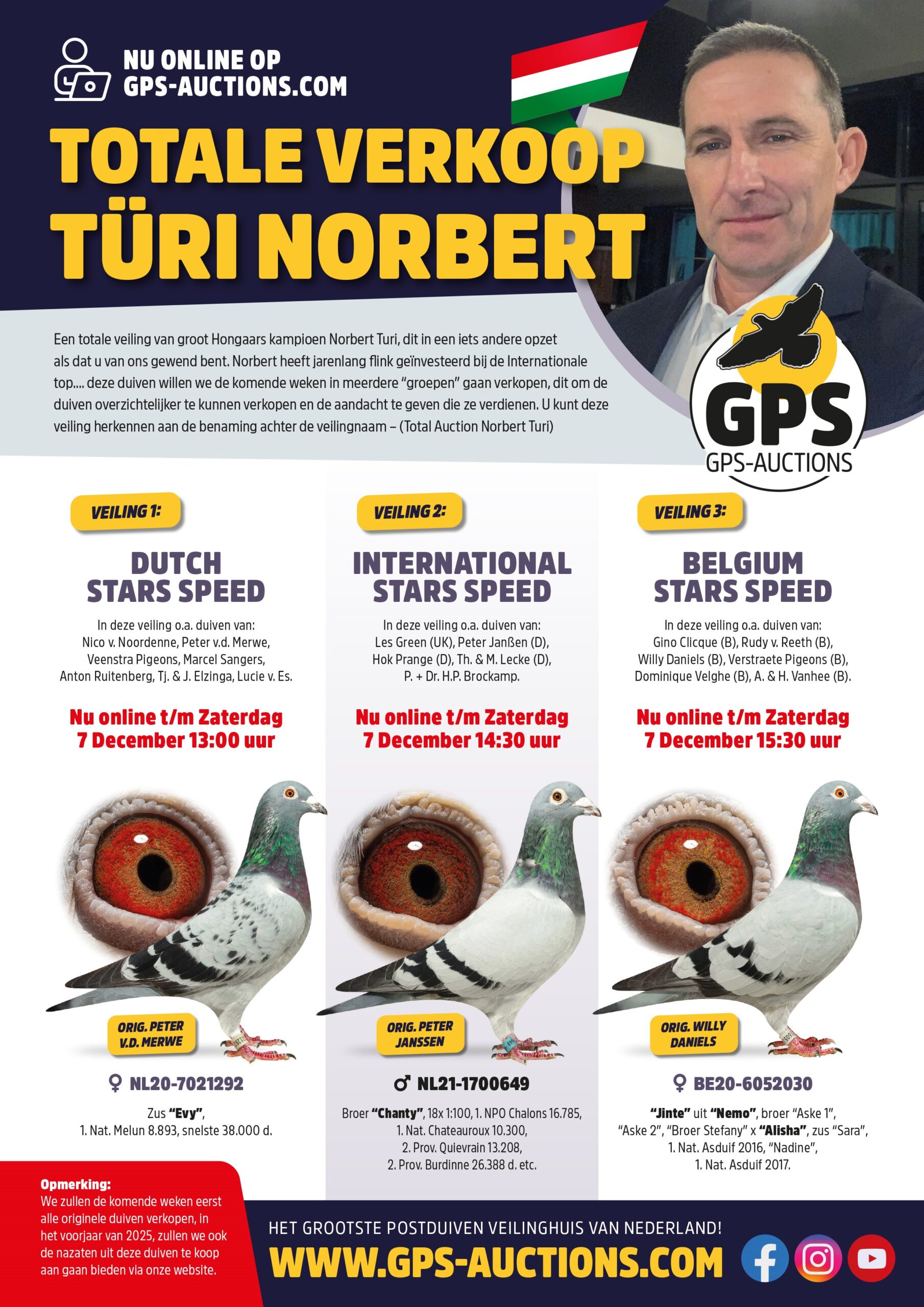 Dutch Stars Speed (Total Auction Türi Norbert) - GPS-Auctions