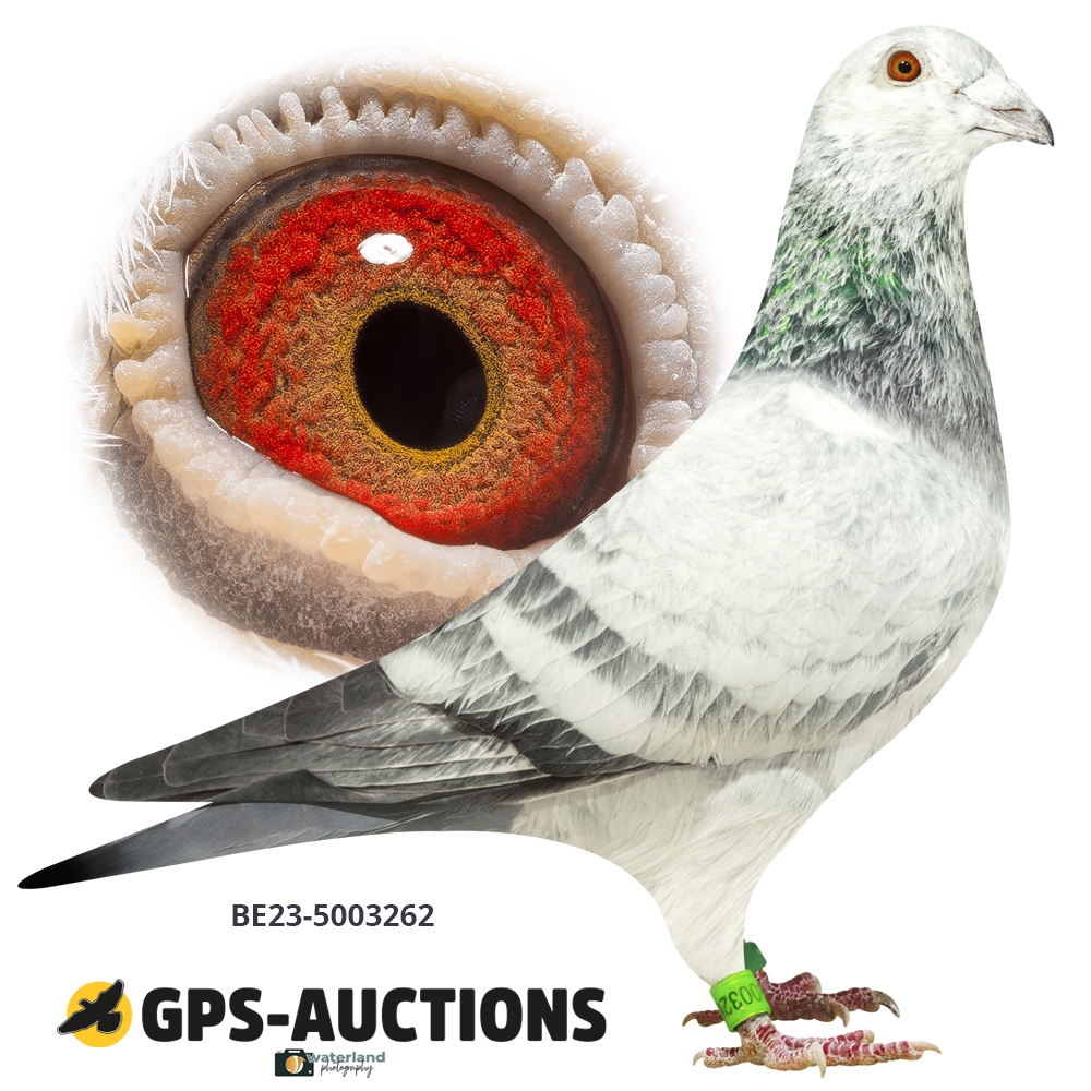 The Dutch & Belgium Mix. - GPS-Auctions